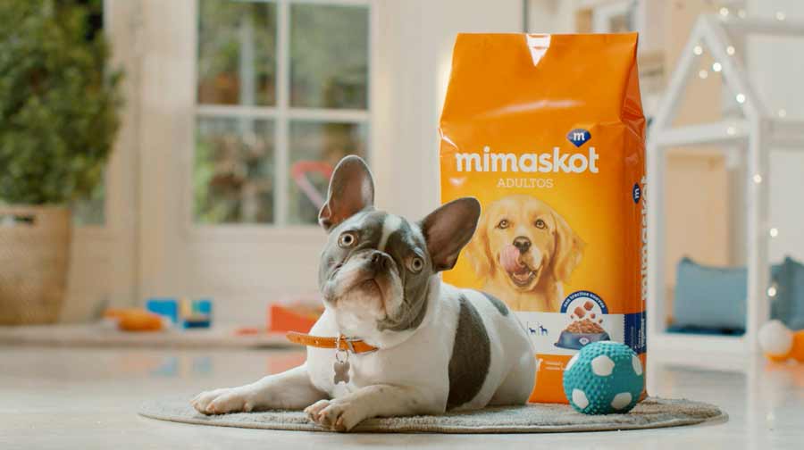 Canica Films: “Desde el primer momento nos enamoramos del guion ...