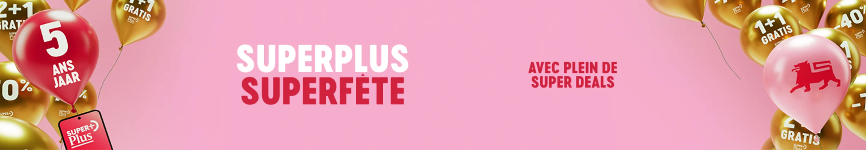 Delhaize Proxy Delhaize Rive Gauche (Charleroi)