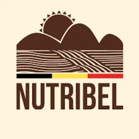 Carrefour market ANTWERPEN LOZANA