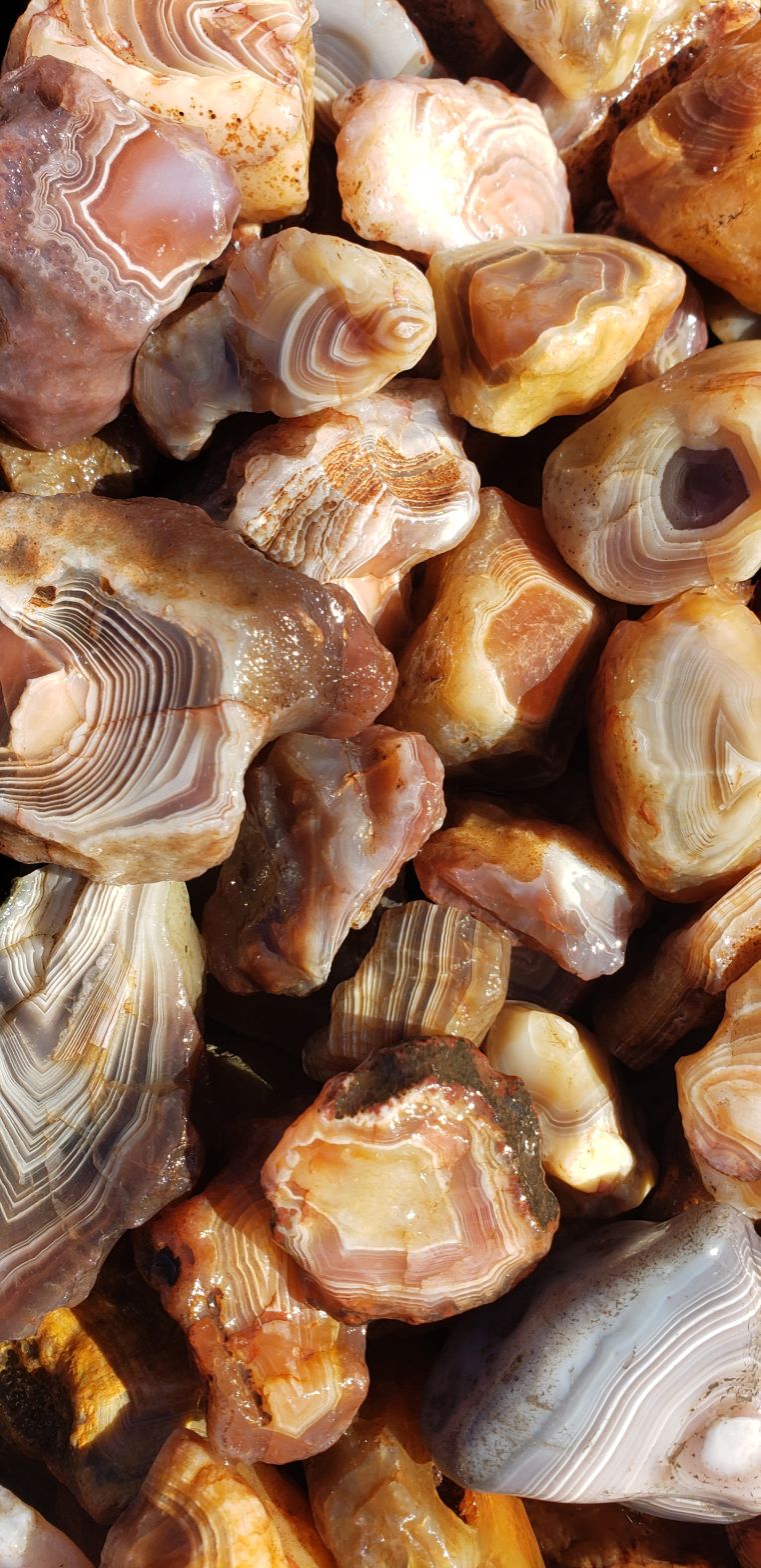 SALE Botswana Agate Rough lot 13 lbs now SOLD | Rock Tumbling Hobby