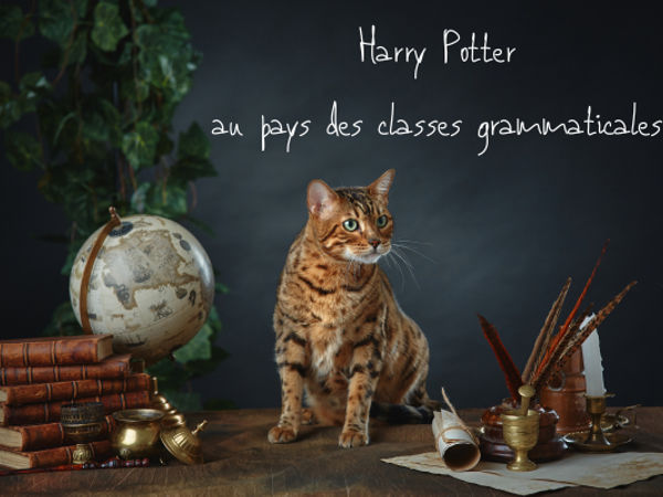 Moiki: Harry Potter au pays des classes grammaticales variables