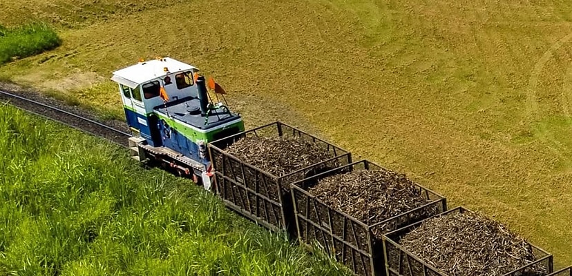 2 Mackay sugar mills shut down following cyber incident - Cyber Daily