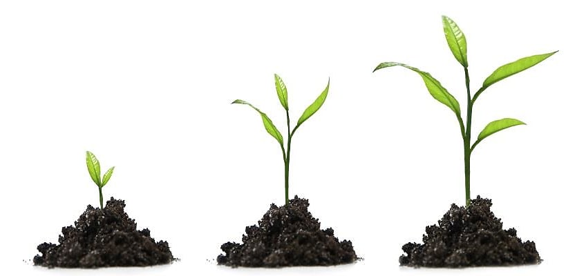 Boutique real estate group continues rapid growth - Real Estate Business