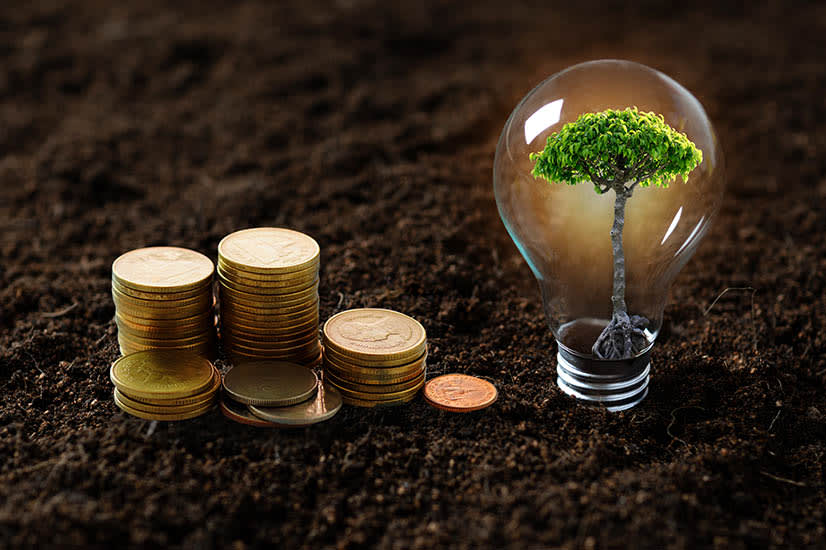 Advisers urged to beware of greenwashing traps in ESG investments - ifa