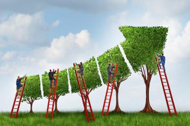 DASH to continue growth focus amid 50% revenue jump - ifa