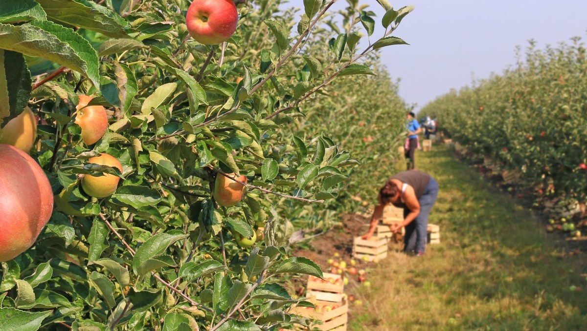 Cyber Wardens program releases cyber security guide for agricultural ...