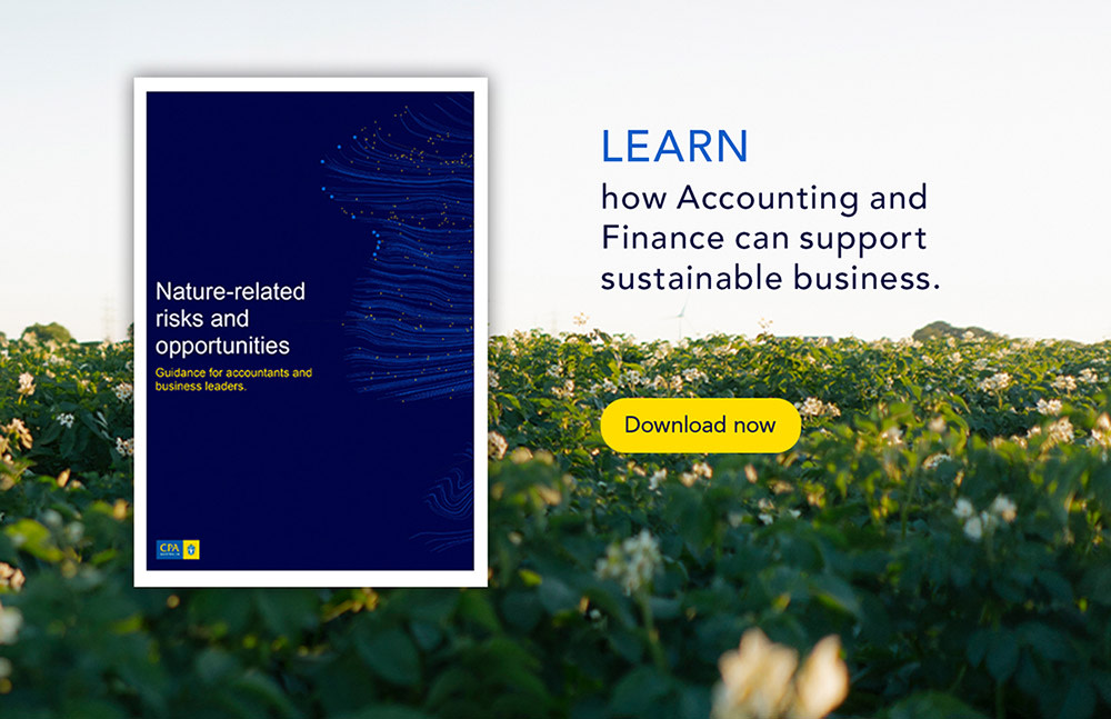 Quick guide: How accountants will play a crucial role in identifying ...