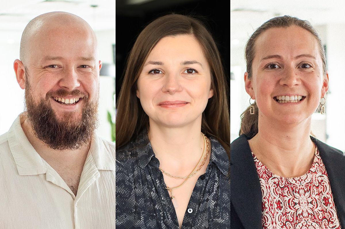 Key issues emerging from the Dixon/CSLR inquiry - ifa