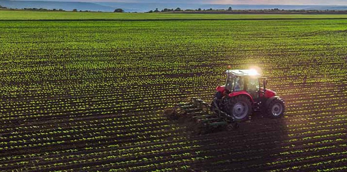 Demand for agribusiness drops alongside crop production - Broker Daily