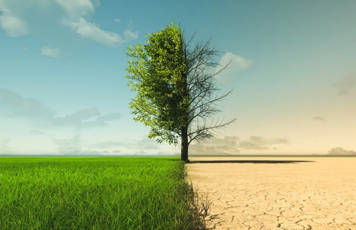 National climate risk assessment unveils stark physical and economic ...