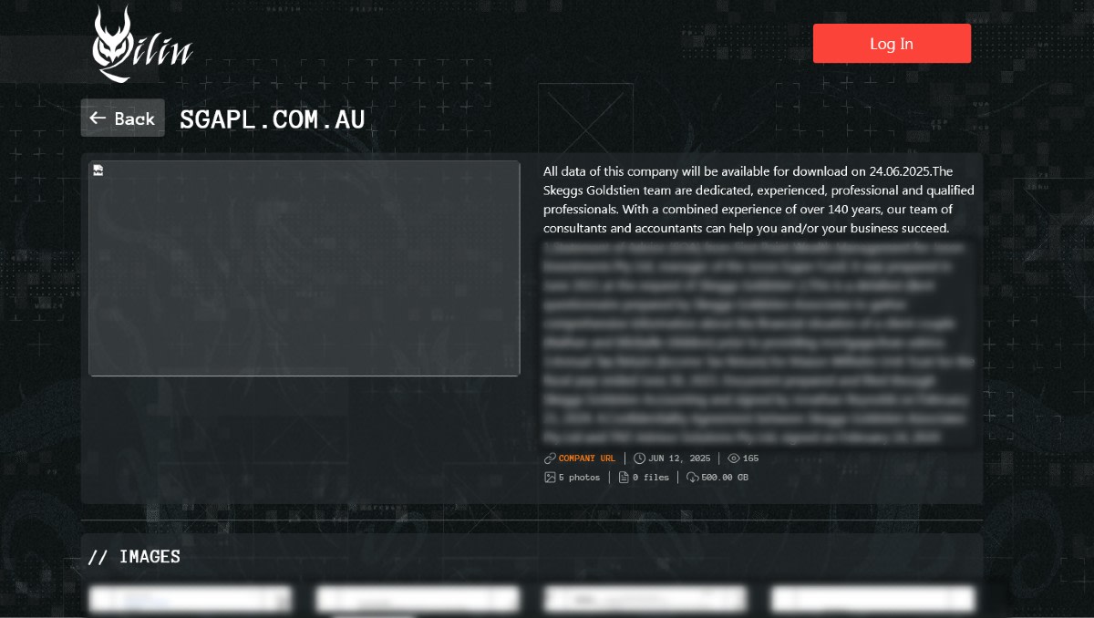 Exclusive: Aussie financial services firm Skeggs Goldstien confirms Qilin ransomware attack ...