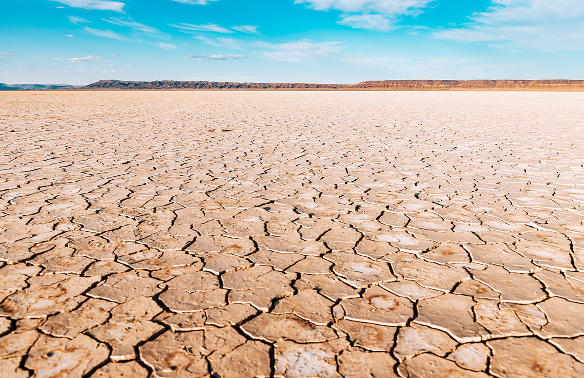 Economic impacts of droughts on track to intensify, OECD says ...