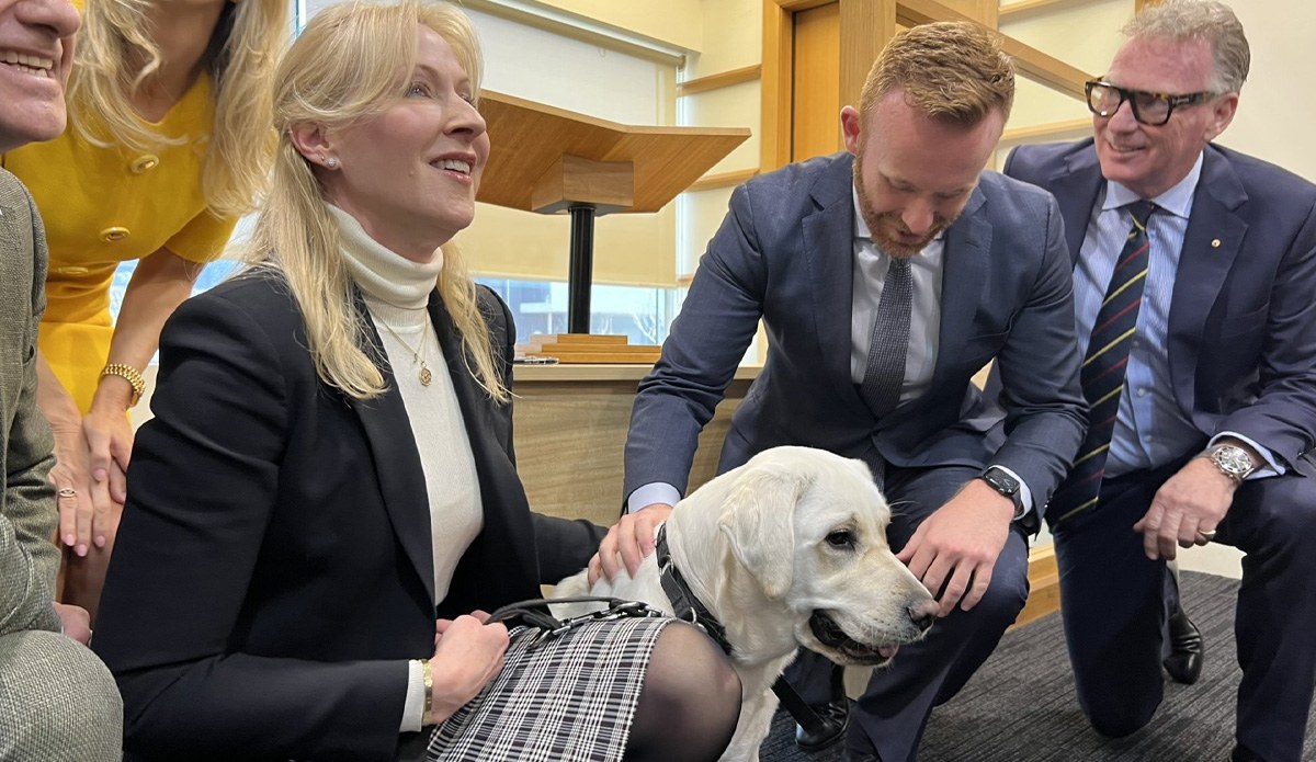 3 new court dogs begin duty in NSW - Lawyers Weekly