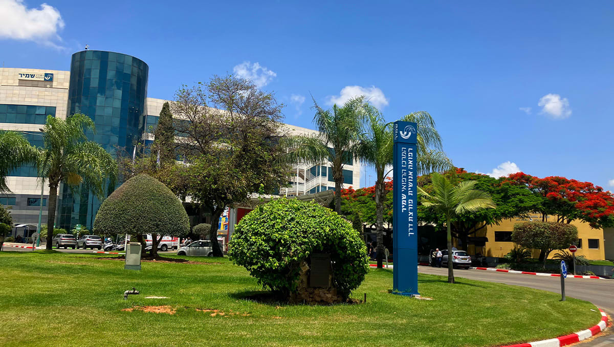 Major Israeli hospital hit by Qilin ransomware attack - Cyber Daily