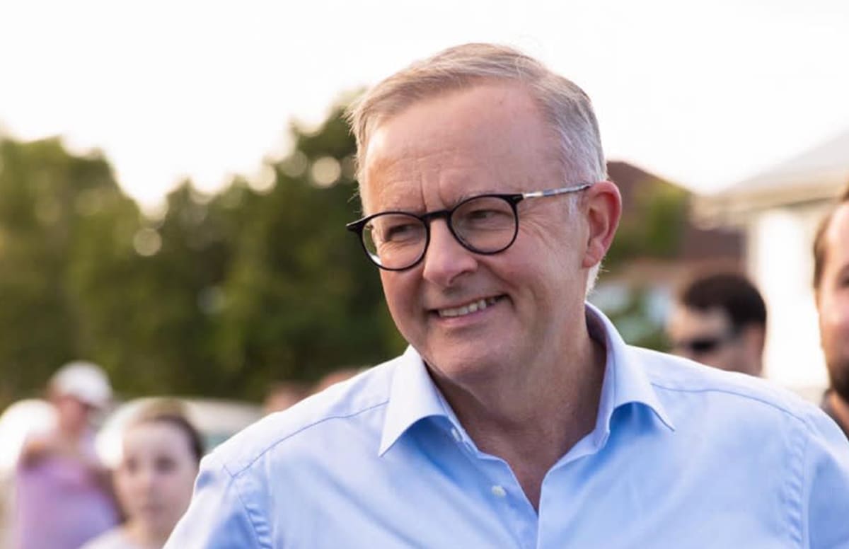 What SMEs must know before posting Albo business partner memes ...