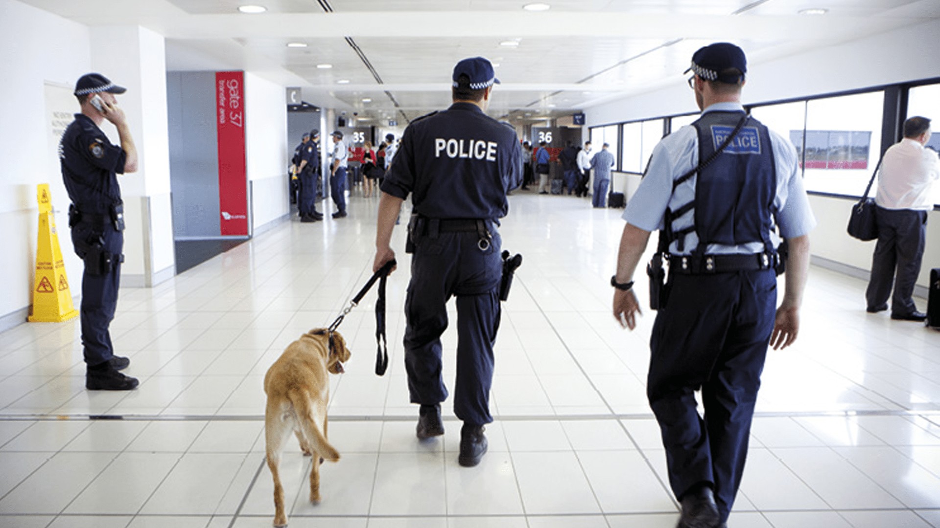 Multi-layered – Australian Aviation