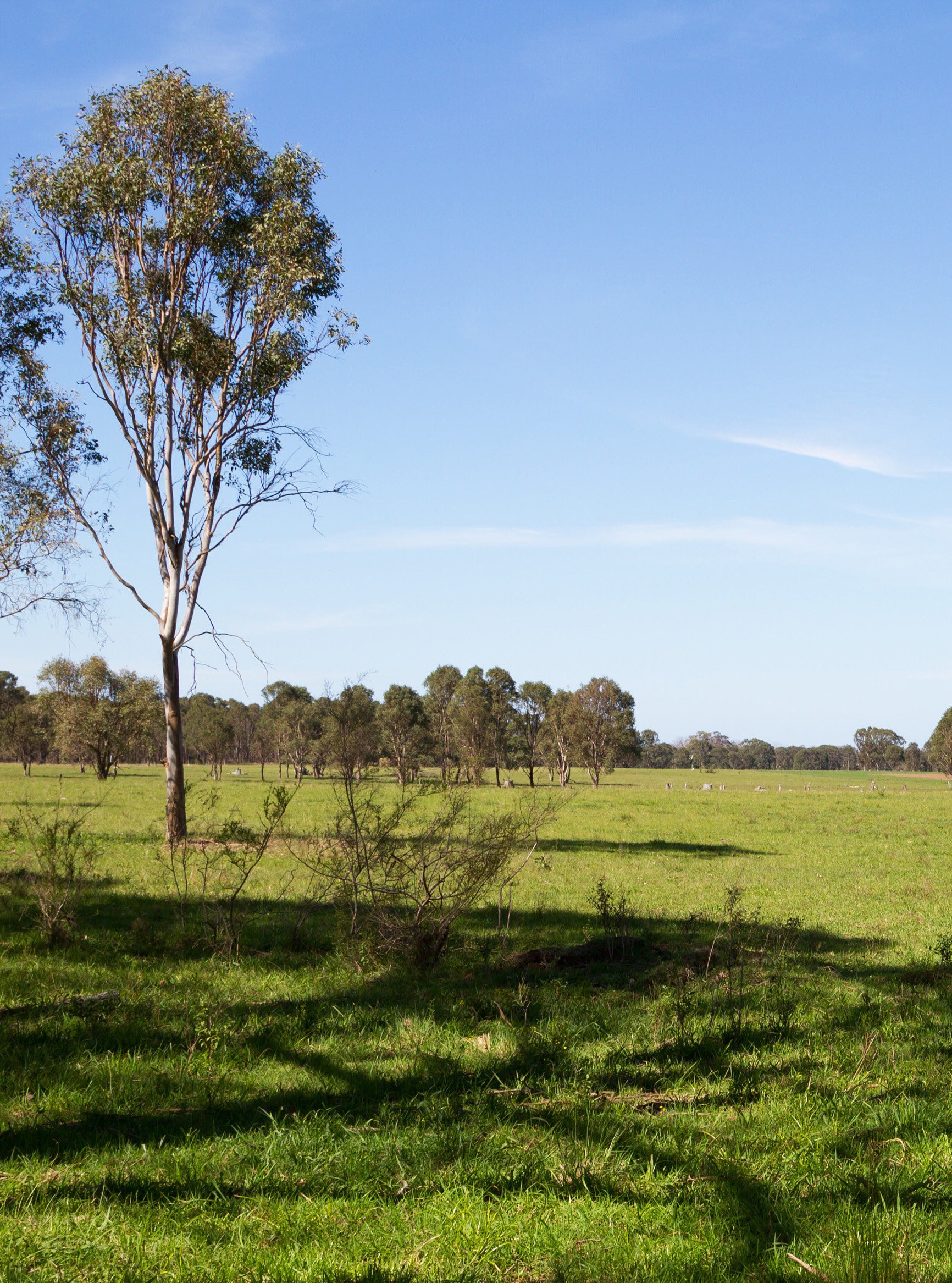 Green Fields – Australian Aviation