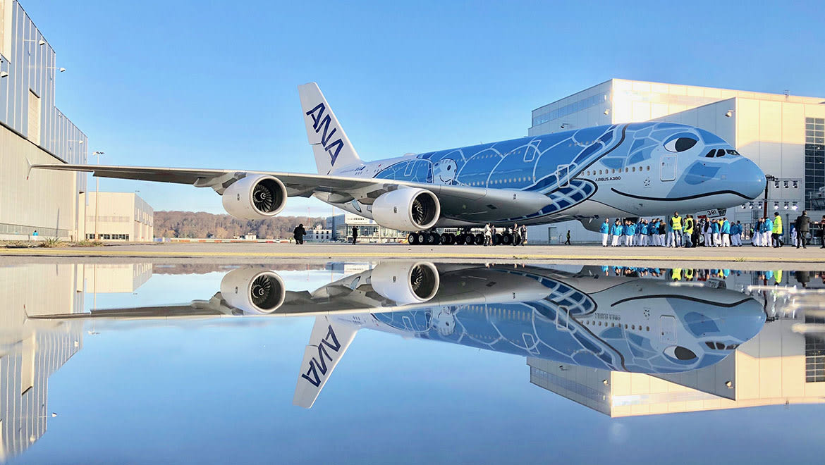Sea turtle special livery for first ANA A380 – Australian Aviation