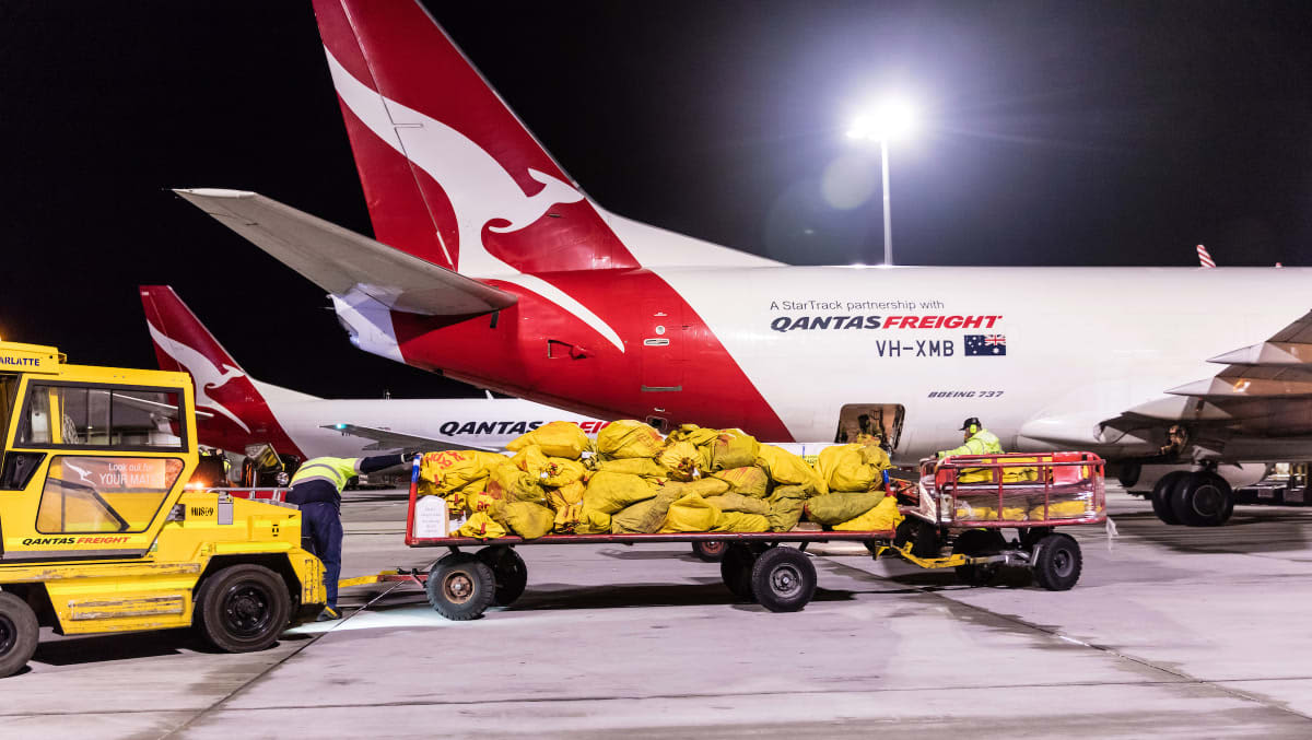 Outsourcing risks lives, TWU tells Qantas after worker death ...