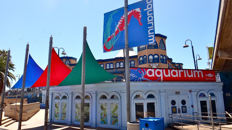 Los Angeles Neighborhood Guide Santa Monica Mommy Nearest