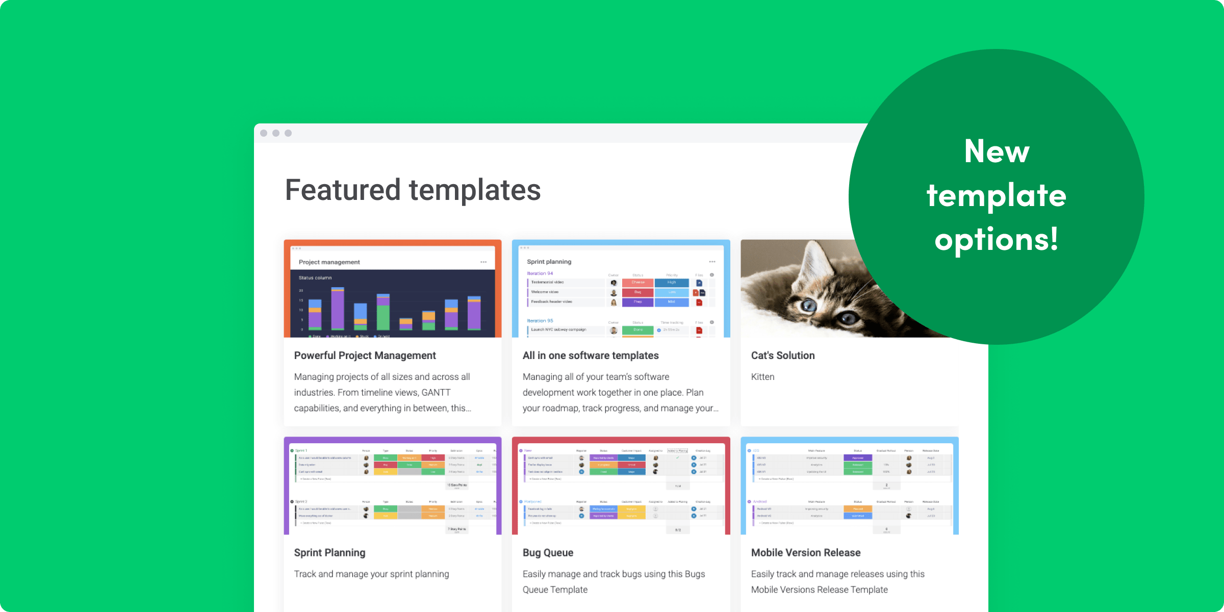 New undo action options, item views, and so much more! | monday.com Blog