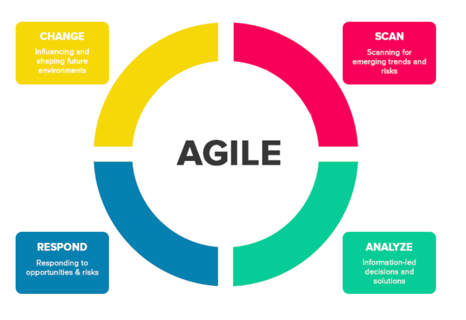 Why Software Project Management Is Unique | monday.com Blog