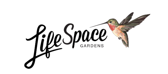 LifeSpace Partnership Program