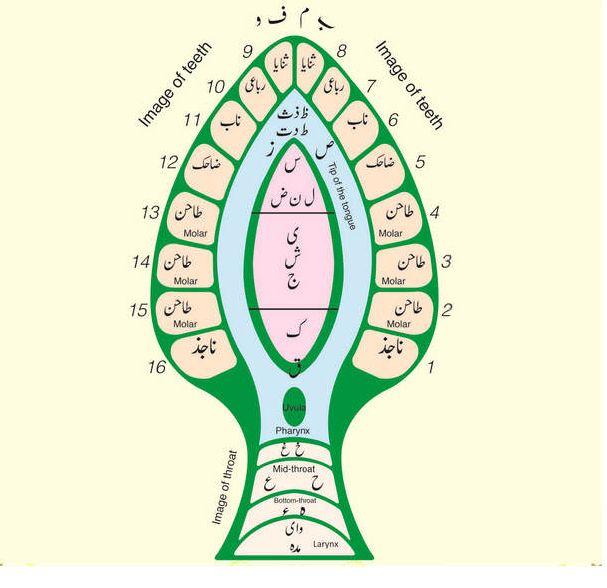 Noorani Qaida Lesson 1 - Zohra Amreen * MFHL