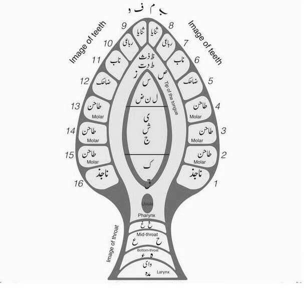 Noorani Qaida Lesson 1 - MFHL Zohra Amreen (Islamic Scholar, Spiritual ...