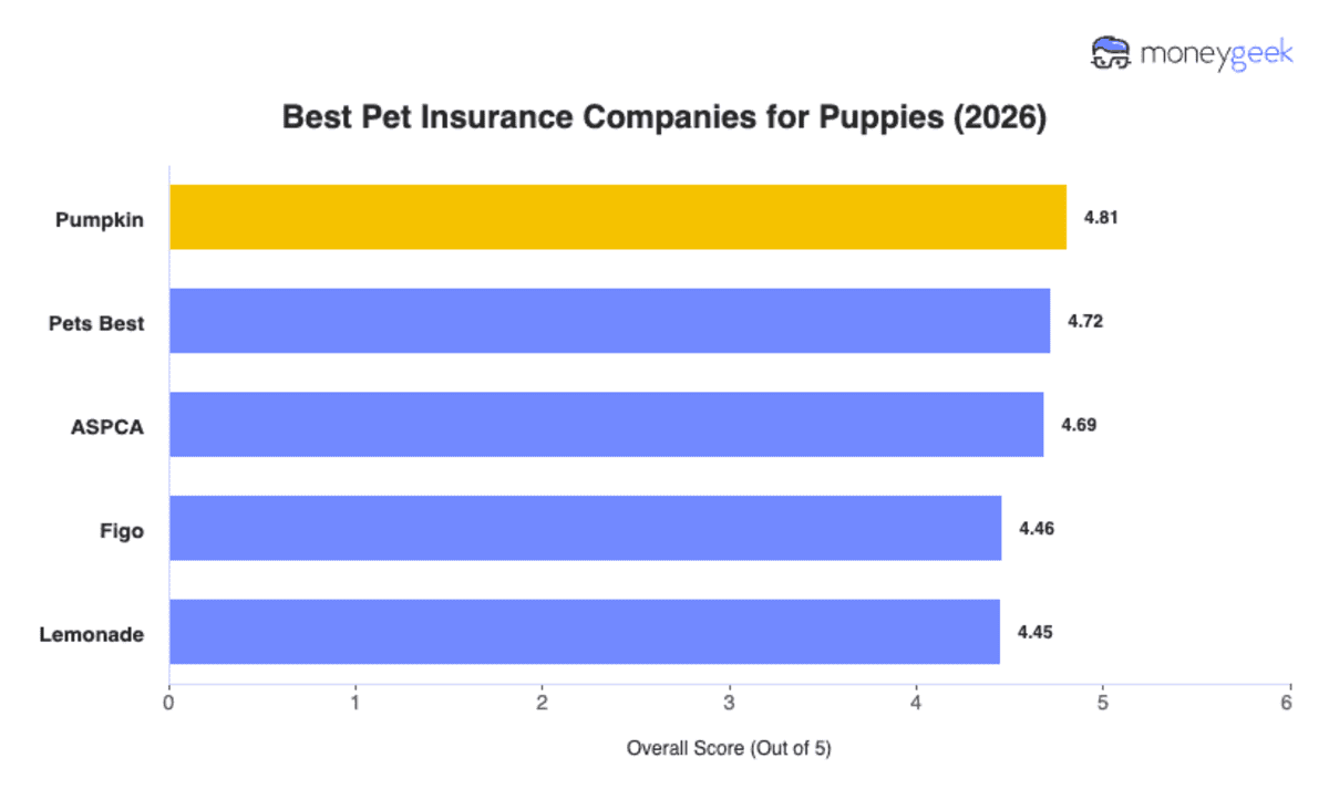 Best Pet Insurance for Kittens (2026 Guide)