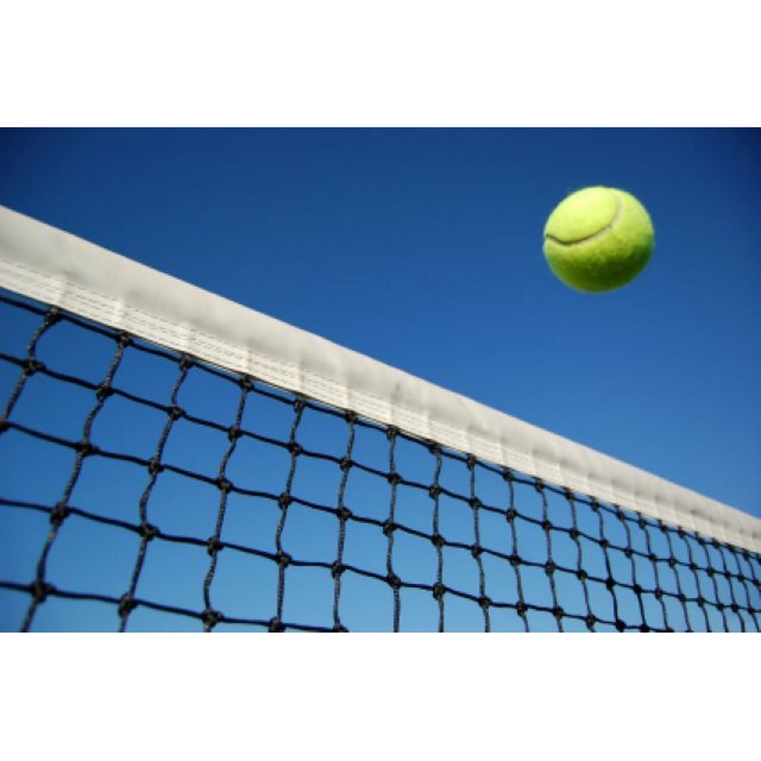 Netking Tennis Net | Sportsmans Warehouse Kiosk