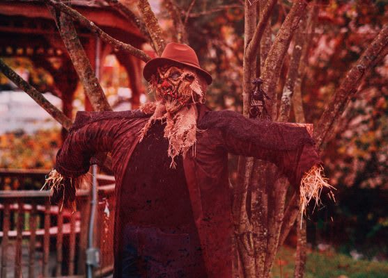 Scarecrow Valley Escape Room | Unlock Me