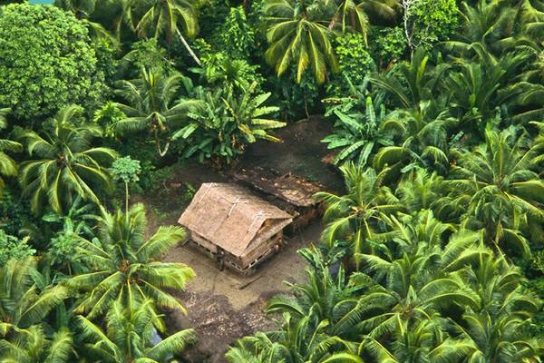 Jungle Ransom Escape Room | Escapism Portland