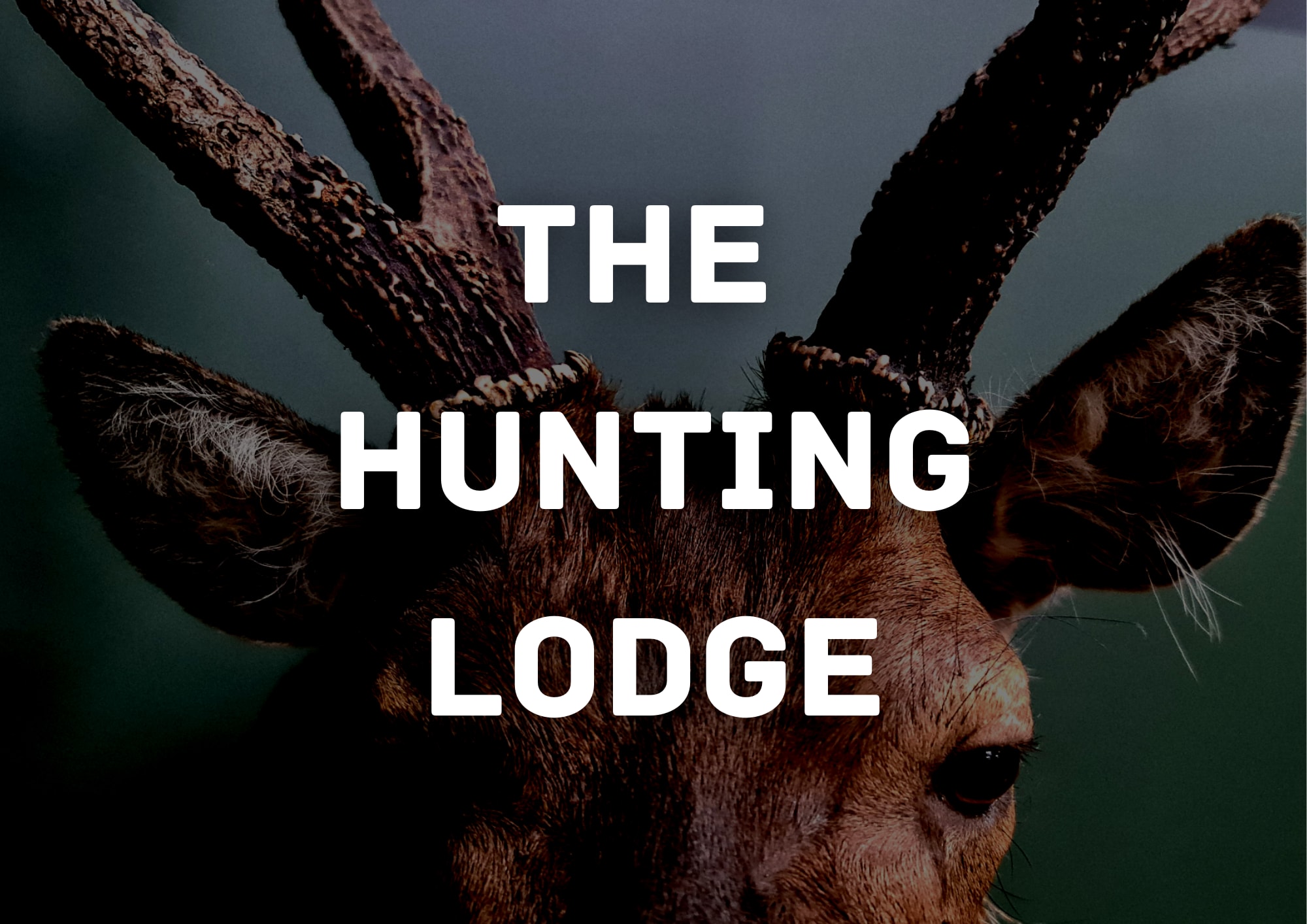 The Hunting Lodge Escape Room | Confinement - Taupo