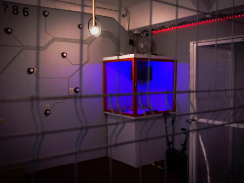 Pokój Zagadka [Riddle Room] Escape Room | dom zagadek