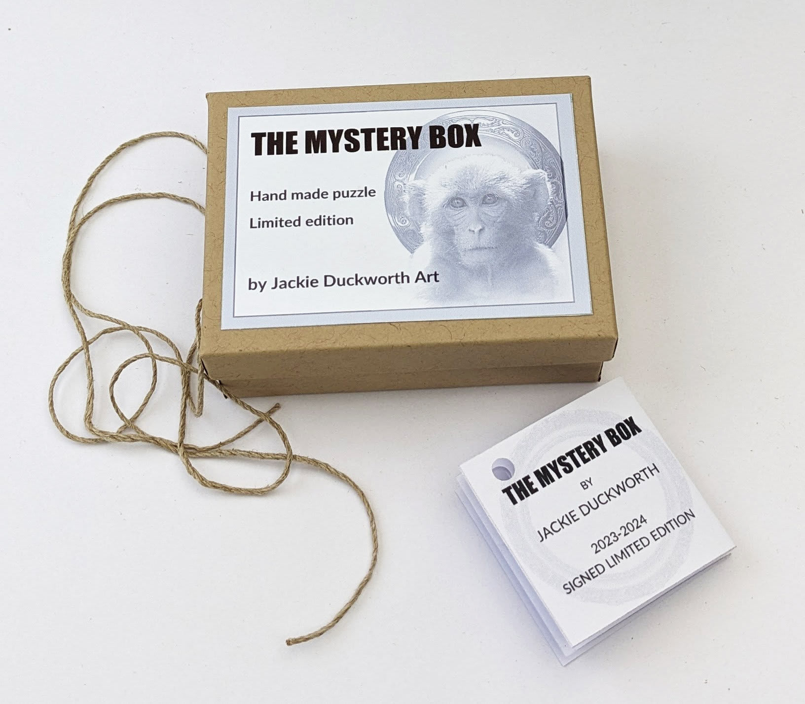 The Mystery Box | Jackie Duck Worth Art
