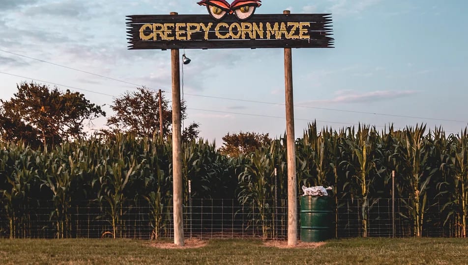 Creepy Corn Maze Haunted Attraction | Spooktacular Nights at Yesterland ...