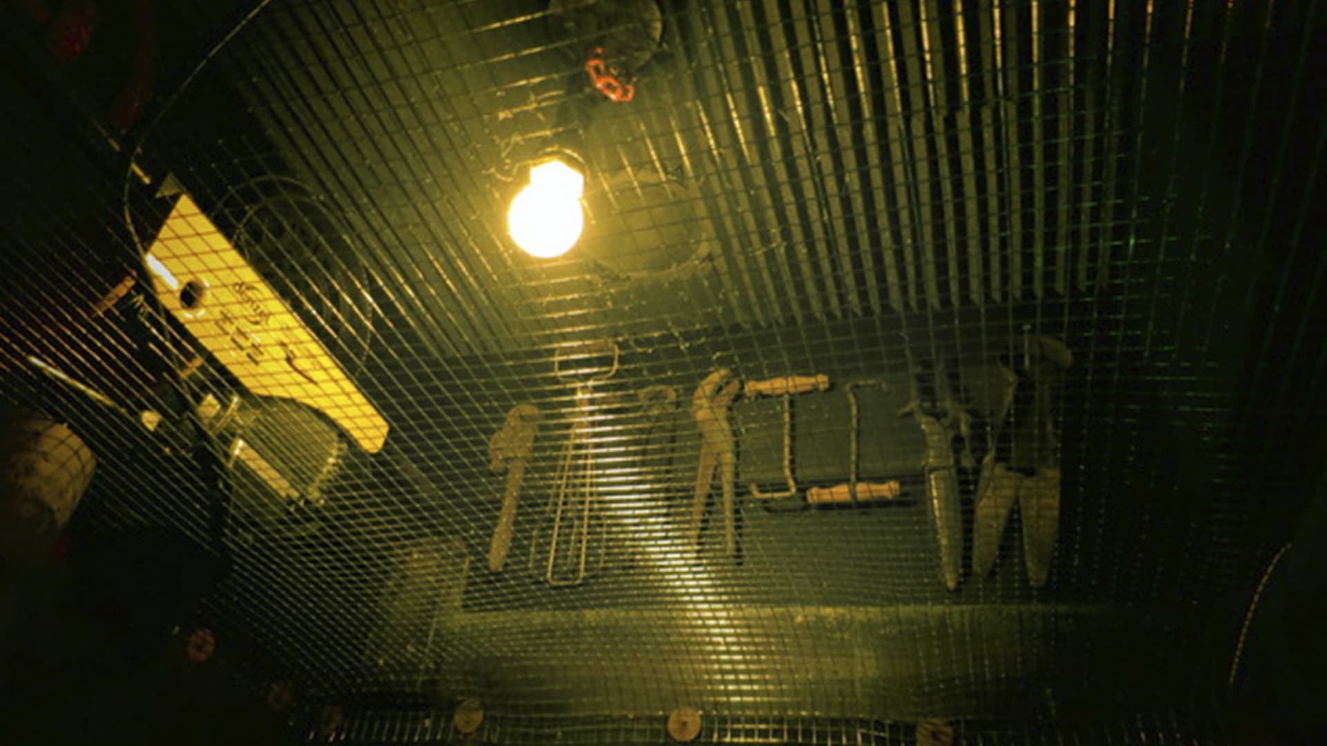 The Shed Escape Room | Maze Rooms - Austin