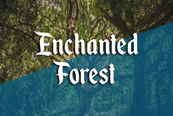 Enchanted Forest Escape Room | Zero Hour Escape Rooms