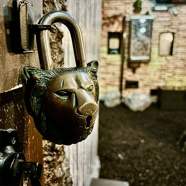 The Enchanted Forest Escape Room | Break Escape