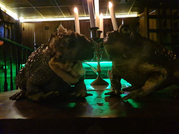 Spellbound Escape Room | Make Your Escape