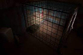 The Killer Basement Escape Room | Epic Escapes