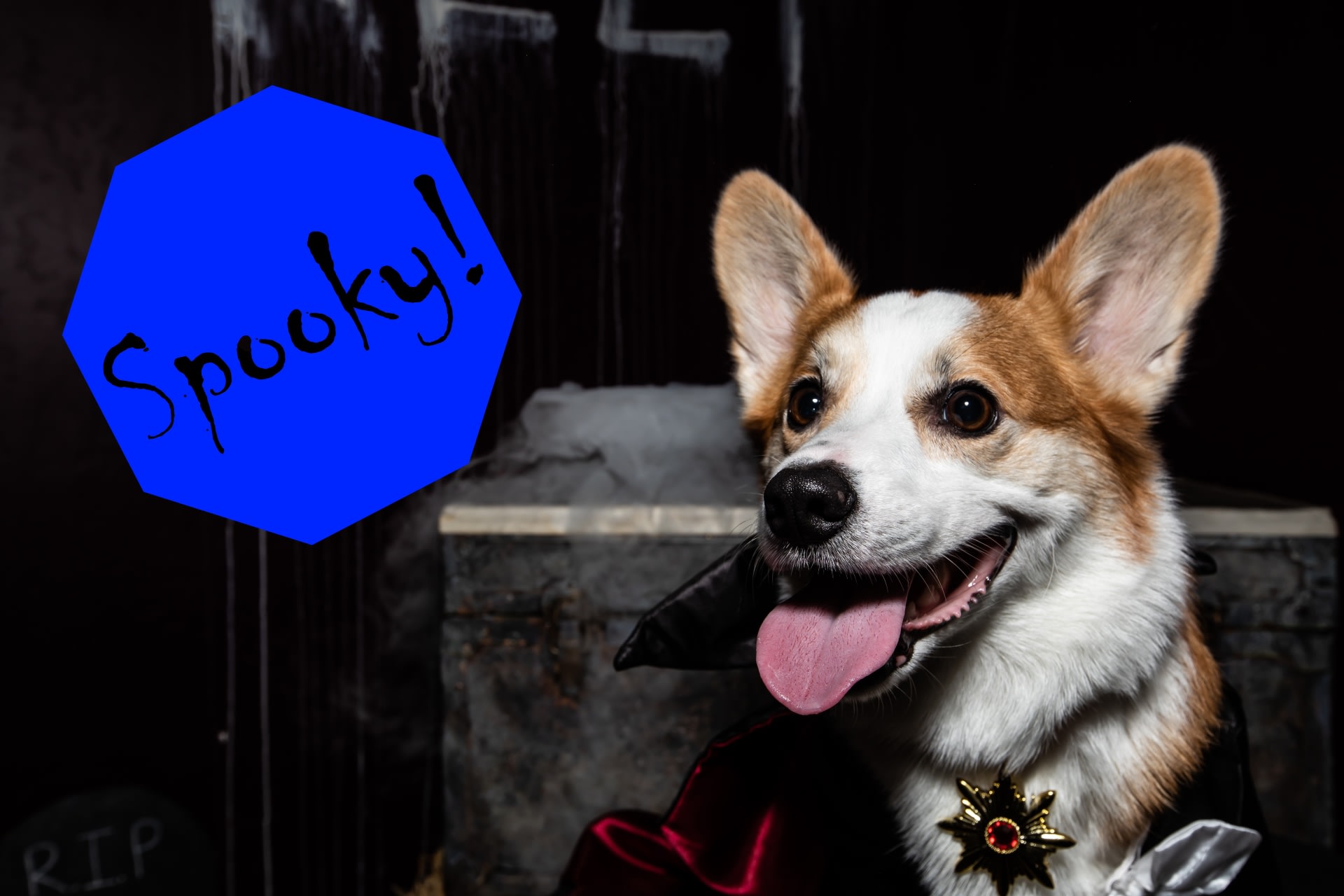 Witching Hour Escape Room | Gilbert Escape Rooms - Cluemaster