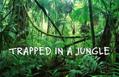 Trapped in a Jungle Escape Room | Game On Escape Rooms