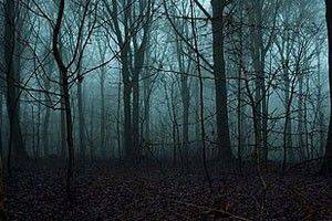 Captive Escape Room | Exit Games KC