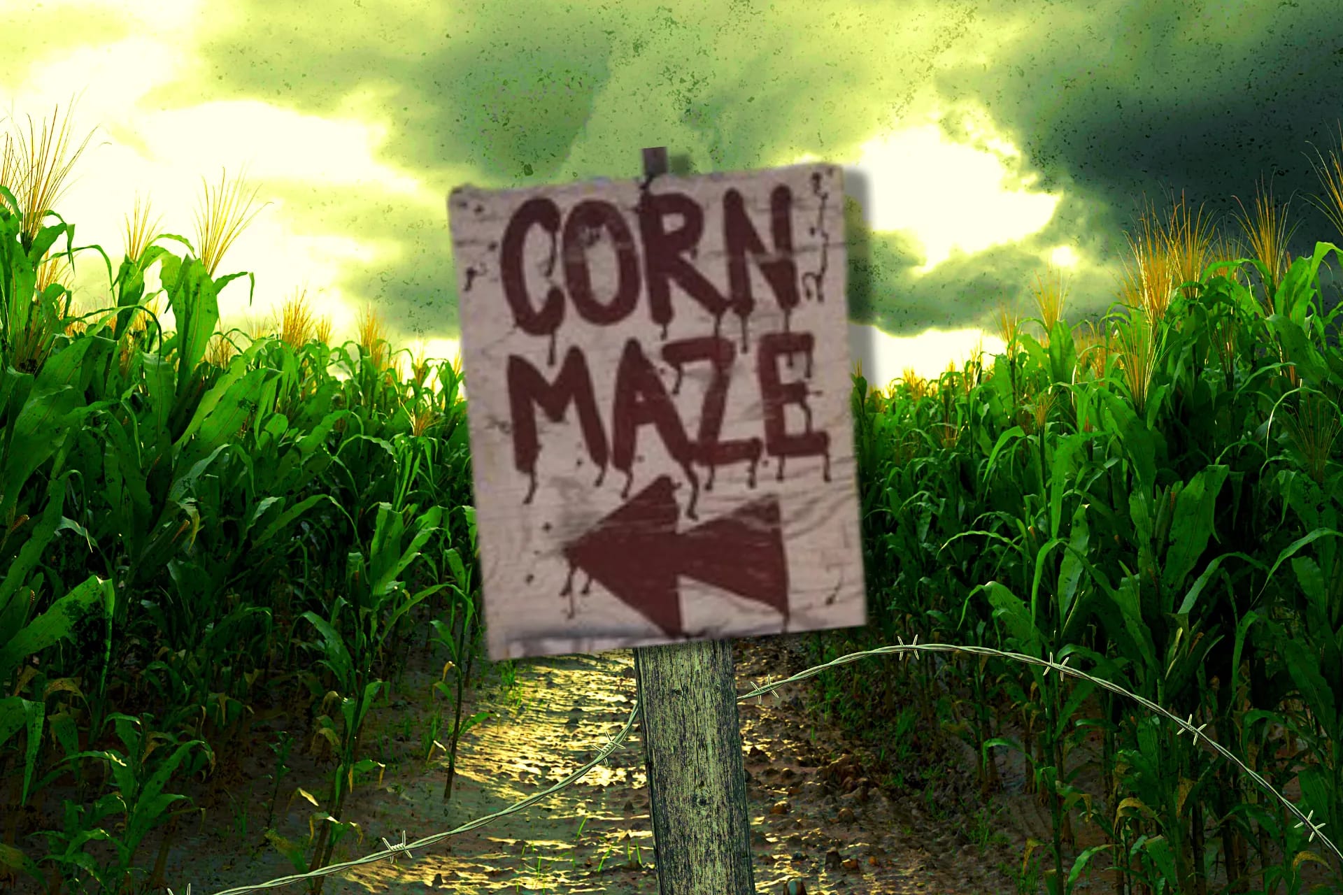 Corn Maze Haunted Attraction | Terror In The Corn