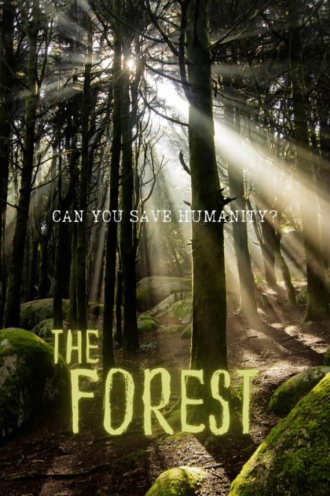 The Forest Escape Room | Puzzle House Escape Room