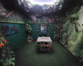 Jungle Room Escape Room | Inside Out Escape Entertainment