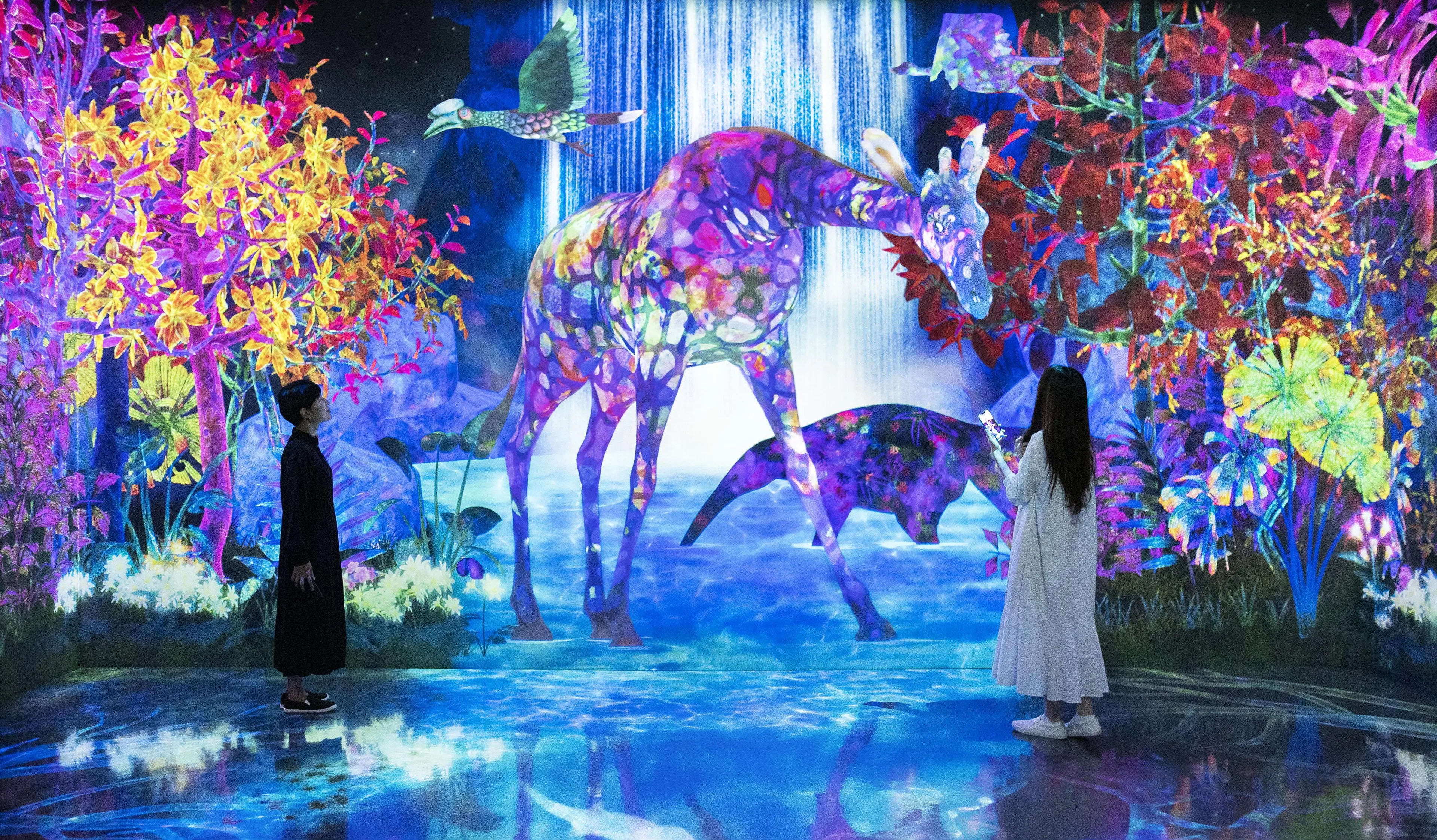 teamLab Forest [Immersive Art] Escape Room | teamLab