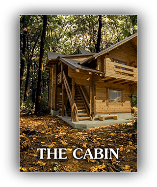 The Cabin Escape Room | District 3 Escape Rooms - Online